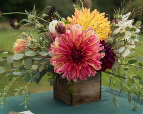 Dahlia Flower Arrangement Ideas