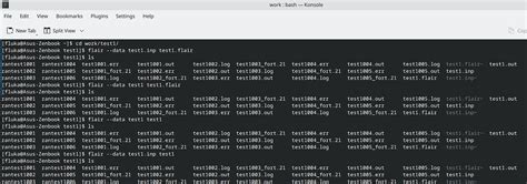 Flair Command Line Processing Flair Fluka User Forum
