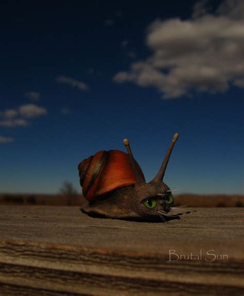 Snail Cat By Brutalsunstudio On Deviantart Cats Miniature Figurines