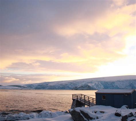 Isla De Anvers En Palmer Permanent Station Of The Us 1 Opiniones Y 1