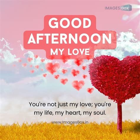 25 Good Afternoon Love Images And Quotes 2025