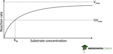 Michaelis Menten Kinetics Mcat Biochemistry Medschoolcoach