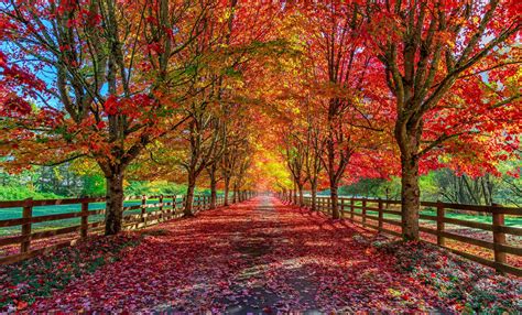 Download Enjoy The Fresh Air Of Fall