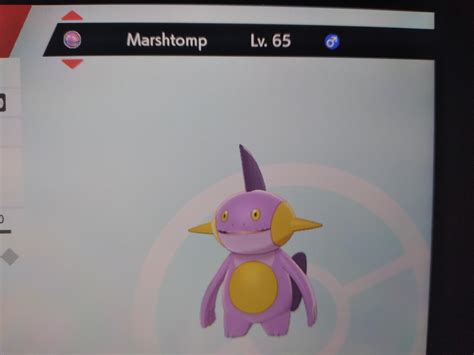 I Caught A Shiny Marshtomp In The Wild Rpokemonswordandshield