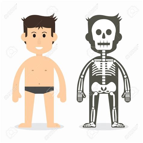 Skeletal System Quiz