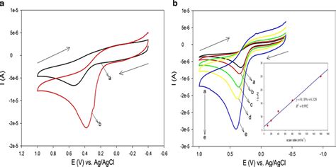 Cyclic Voltammograms For 04 Mm Ascorbic Acid In A At Bare Gce A And Download Scientific