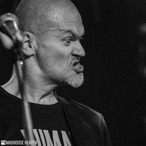 Damir Avdić The Next Crossing