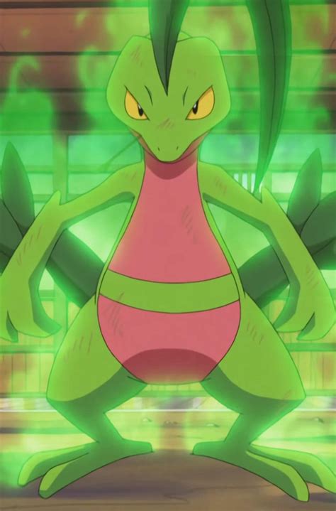 One Thing I Always Wonder Is Why Did It Take Them So Long To Evolve