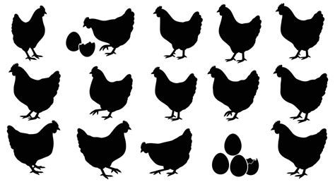 Chicken Silhouette Clip Art 67487349 Vector Art At Vecteezy