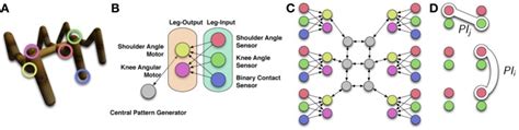 Hexapod For Locomotion Task And Controller Set Up A Hexapod Robot