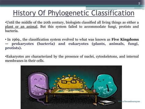 Classification Three Domain System Pdf