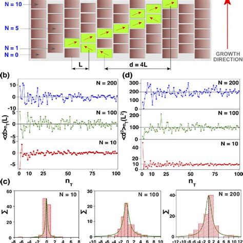 Simulated Physical Characteristics Of A 1d Random Walk A Schematic