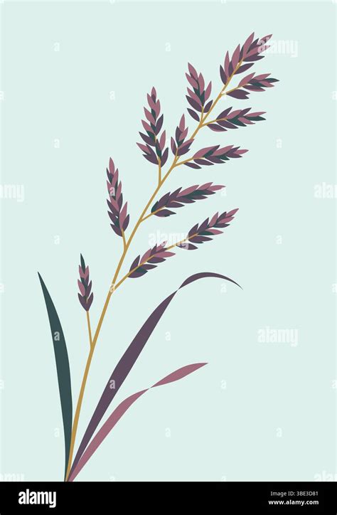 Grass Head Craft Stock Vector Images Alamy