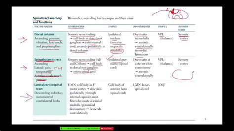 Strokes For Usmle Step 1 Lecture 1 Youtube