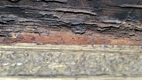 Vintage Wood Structures In Day Light Stock Image Image Of Vintage Light 382633917