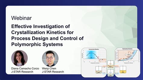 Effective Investigation Of Crystallization Kinetics For Process Design
