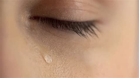 Scientists Grow Functioning Human Tear Glands In A Lab