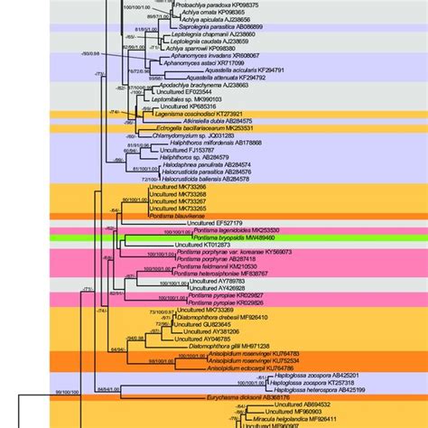 Phylogenetic Reconstruction In Minimum Evolution On The Basis Of