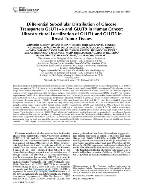 Pdf Differential Subcellular Distribution Of Glucose Transporters