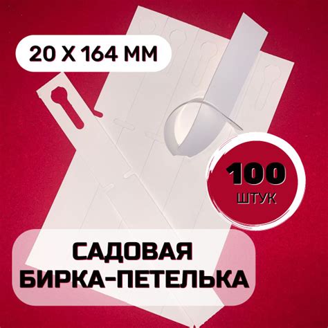 Садовая бирка-петелька 100шт 20х162 с подарком! купить по низкой цене в ...