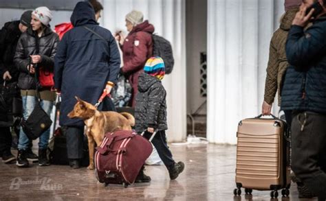 В Офісі Президента цього року планують надати житло кожному третьому