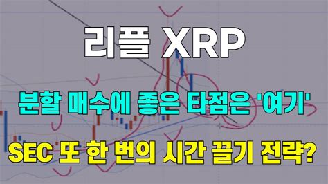 리플 Xrp 분할 매수에 좋은 타점은 여기 Sec 또 한 번의 시간 끌기 전략 Youtube