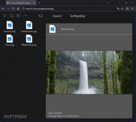Local File Explorer Download Softpedia