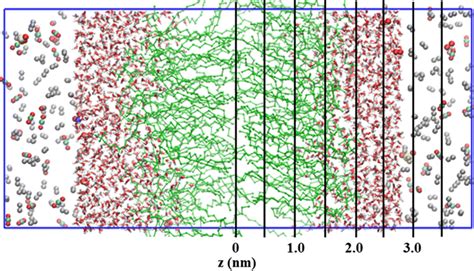 Microalgae Lipid Membrane Molecular Structure The Green Line