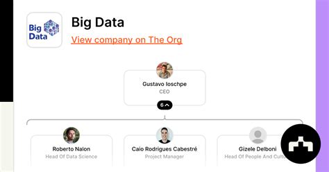 Big Data The Org