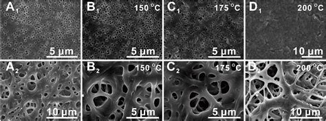 Evaluation Of Asymmetric Polyvinylidene Fluoride Coated Polyimide