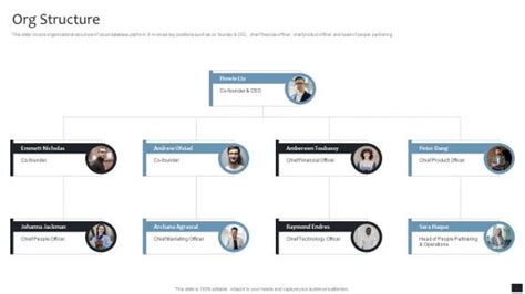 Org Structure Data Structure Software Company Investor Pitch Deck Ppt Template