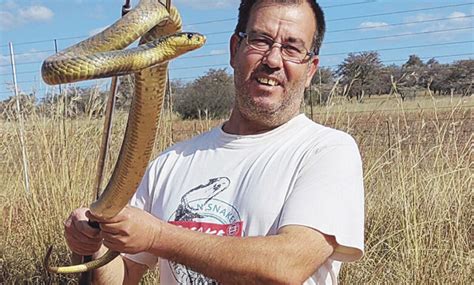 Slange Floreer In Rommel Naby Braksloot Die Pos