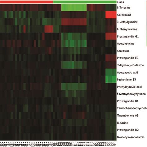 Heatmap Visualization Analysis Of Metabolites Statistically Significant