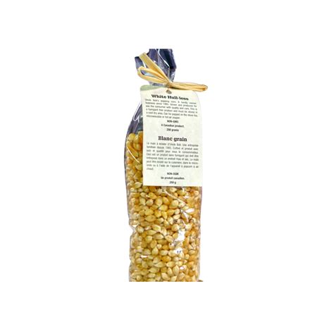 Traditional Yellow Popcorn Kernels Grey Willow Ts Inc