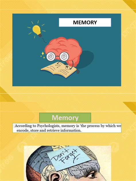 Memory 221128 093825 Pdf Memory Recall Memory