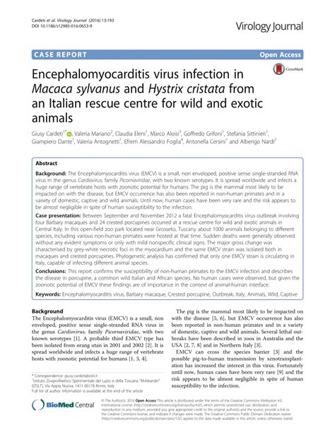 Pdf Encephalomyocarditis Virus Infection In Macaca Sylvanus And