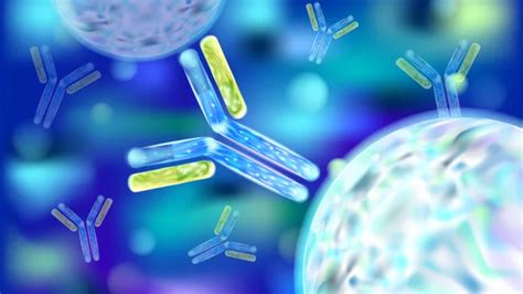 Ada Assay Neutralizing Antibody Assay Immunogenicity Assay