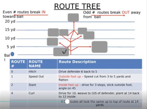 route tree flashcards quizlet