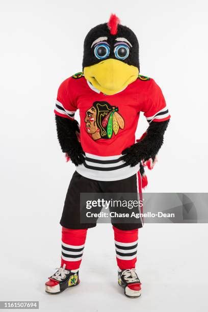 Mascot Tommy Hawk Photos And Premium High Res Pictures Getty Images