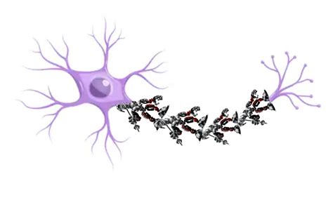 2006 Bio Classes Be Like Rbioniclememes