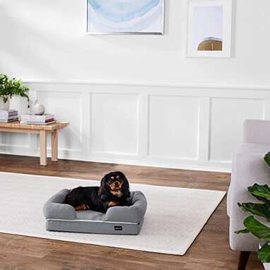 Best Dog Bed Deals During Amazon Prime Day 2022 Dodowell The Dodo