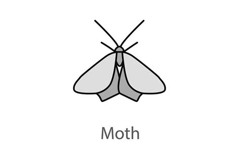 Moth Color Icon
