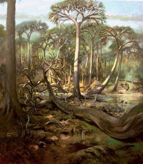 Superterrane Lepidodendron