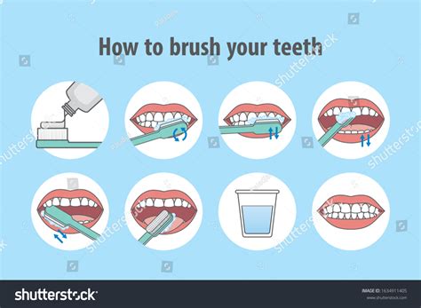 Proper Brushing Method