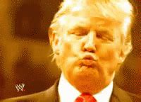 Trump  Trump  탐색 및 공유