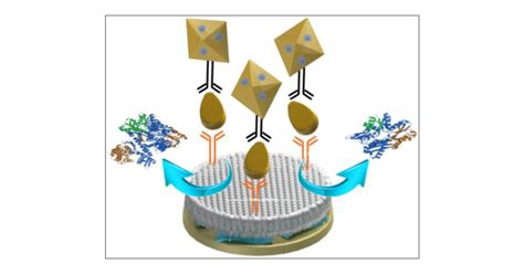 Cell Membrane And V2c Mxene Based Electrochemical Immunosensor With