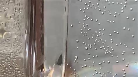 Laura Zimpfer — Klassemosler