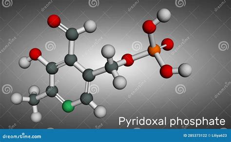 Pyridoxal Phosphate Plp Molecule It Is Active Form Of Vitamin B6 And