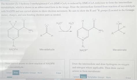 Solved The Thioester 5 3 Hydroxy 3 Methylglutaryl Coa