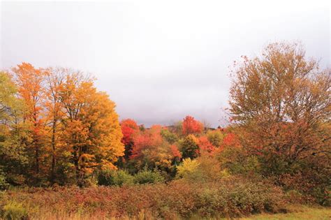 Cedar River Flow Andy
